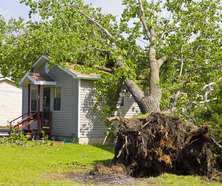 All About Homeowners Insurance | Inter-Agency Insurance Services